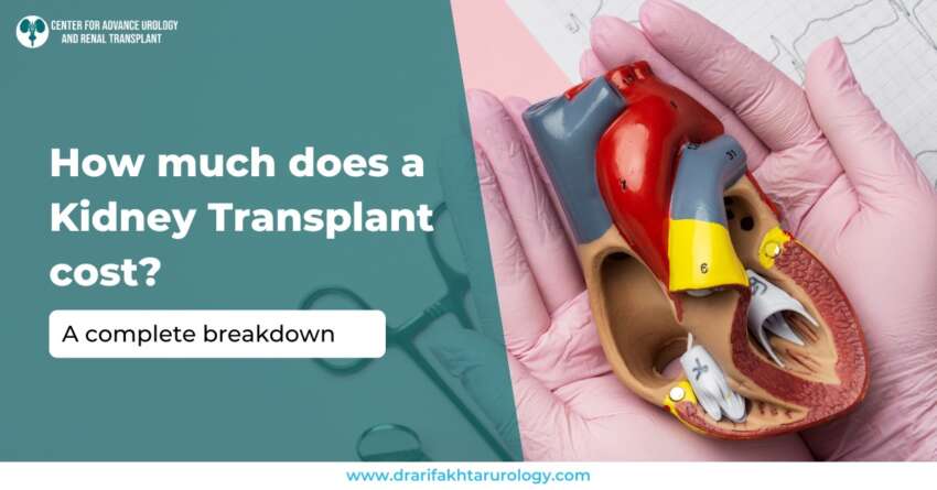 How Much Does a Kidney Transplant Cost? A Complete Breakdown