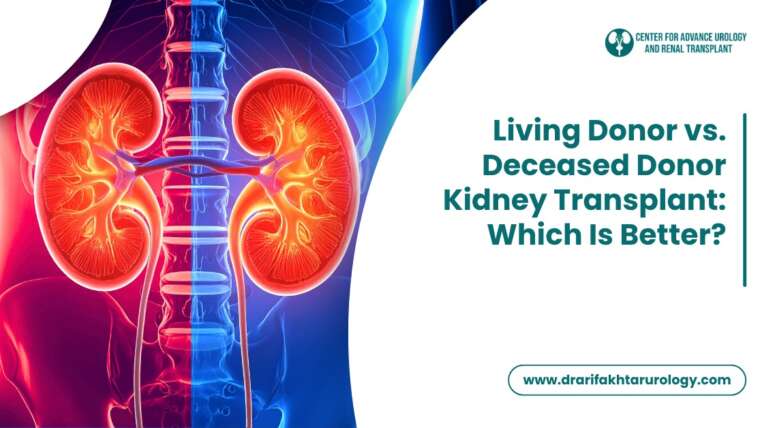 How Successful is a Kidney Transplant? Survival Rates & Key Facts