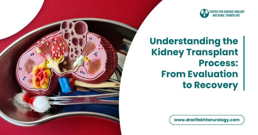 Kidney Transplant Process: Evaluation to Recovery Guide